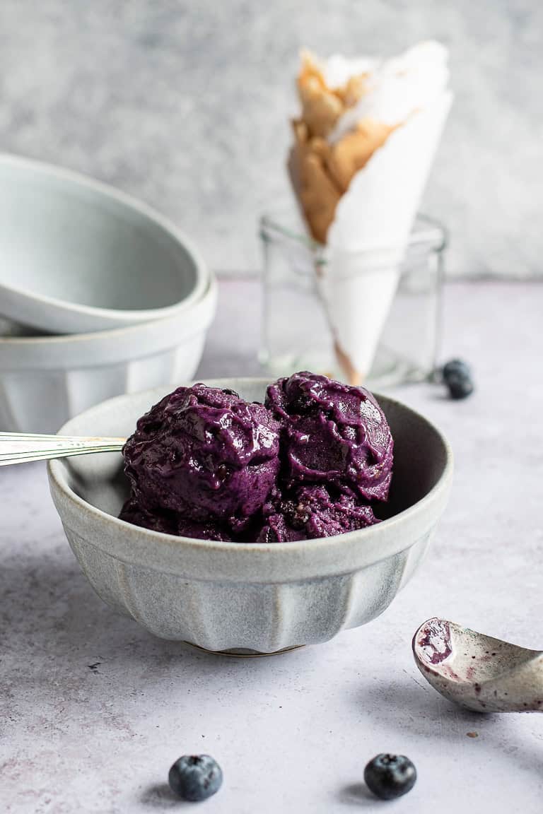 Wild Blueberry Nice Cream - Spoonful of Plants