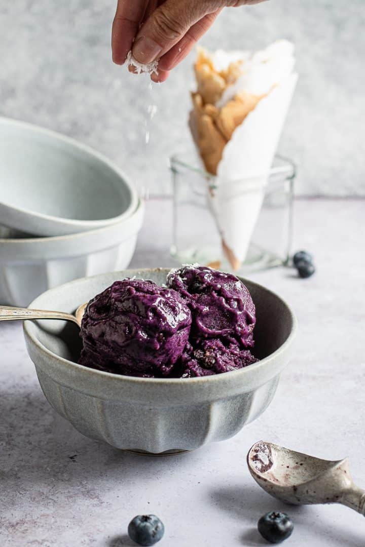 Wild Blueberry Nice Cream - Spoonful of Plants