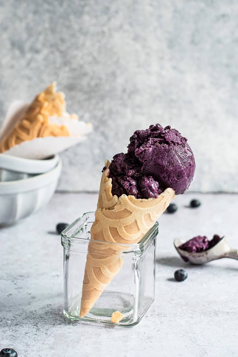 Wild Blueberry Nice Cream - Spoonful of Plants