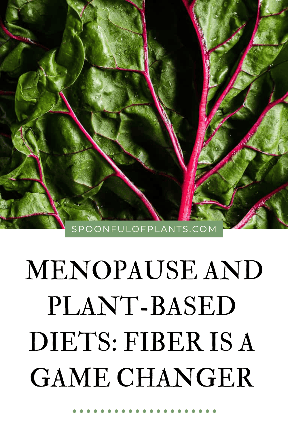 Part 1: Menopause and Plant-Based Diets- Fiber Is A Game-Changer ...